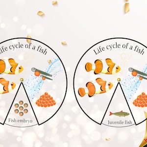 LIFE CYCLE of a FISH Wheel - Busy Book Activity Montessori Learning ...