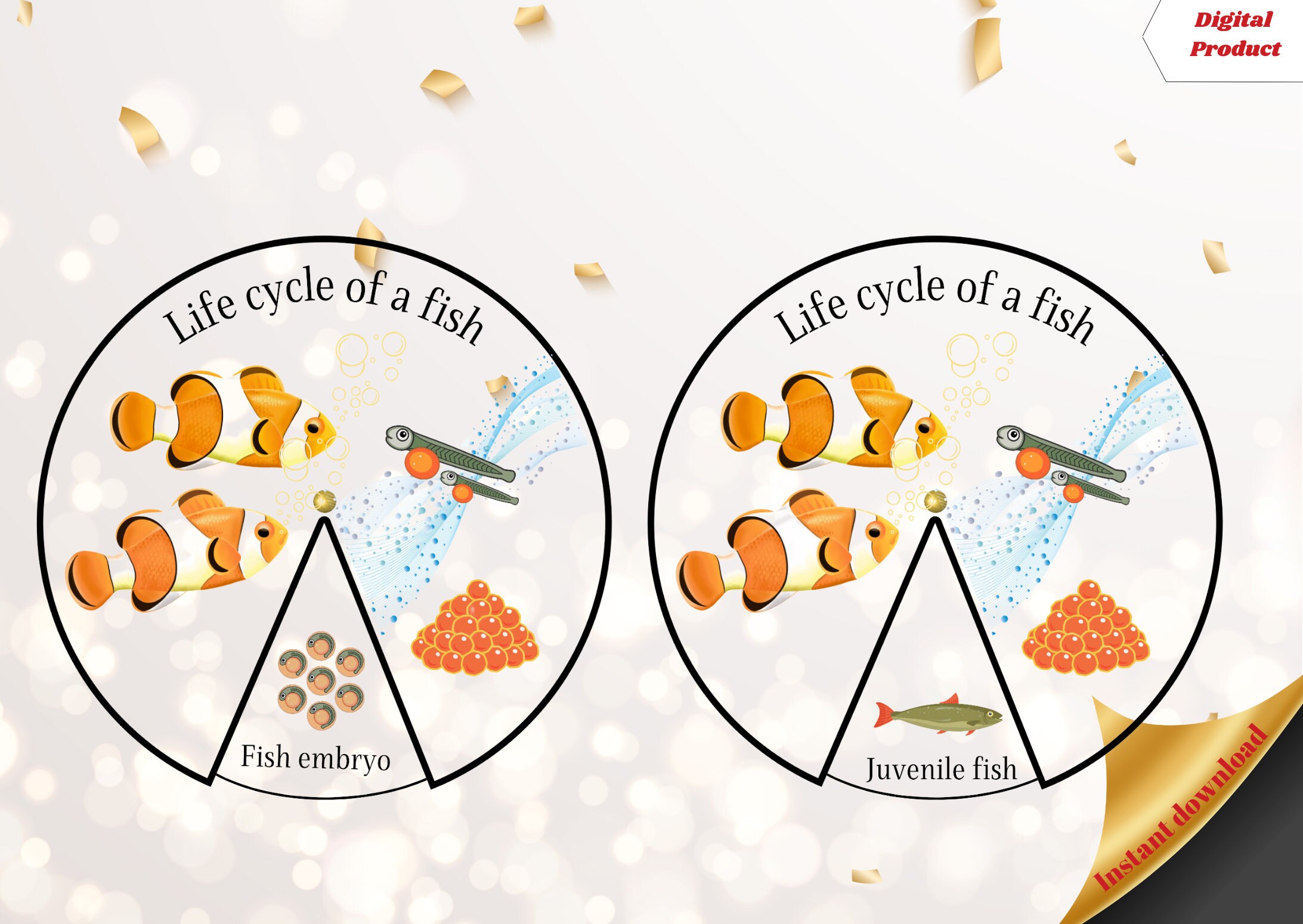 LIFE CYCLE of a FISH Wheel - Busy Book Activity Montessori Learning ...