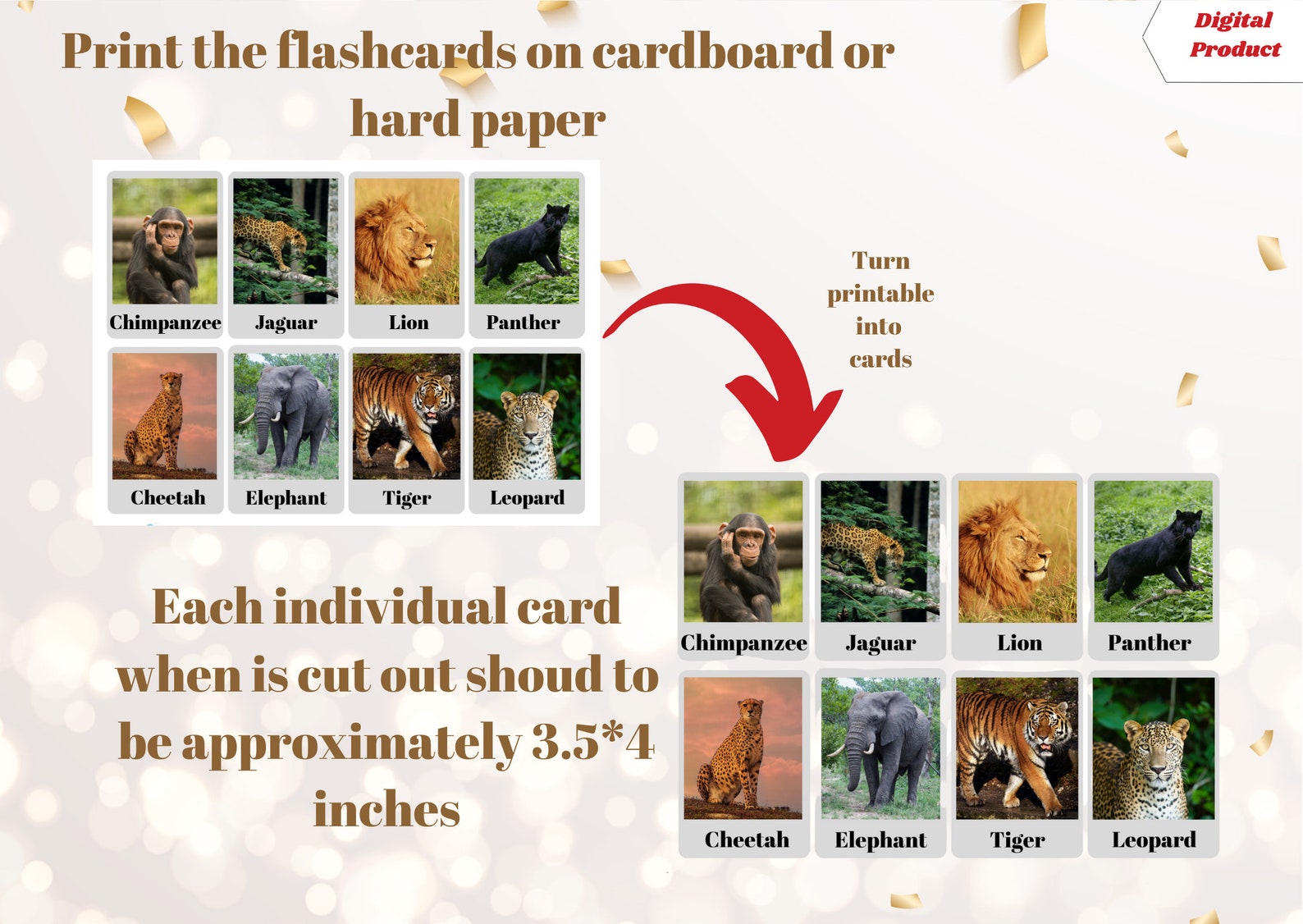 JUNGLE ANIMALS (real Pictures) - 24 Printable Flashcards-jungle ...