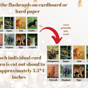JUNGLE ANIMALS (real Pictures) - 24 Printable Flashcards-jungle ...