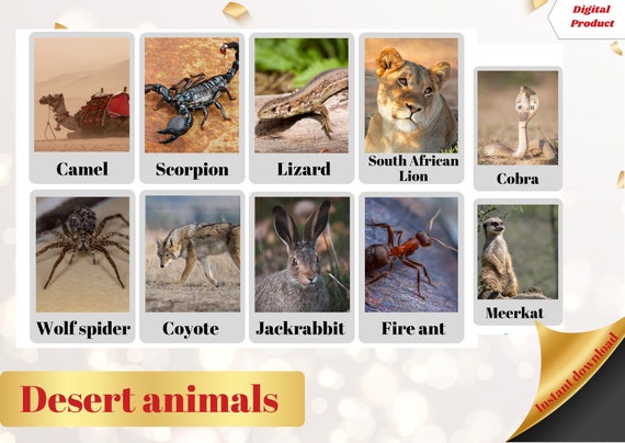 Desert Animals Flashcards Free Printable Desert Animal Pictures,