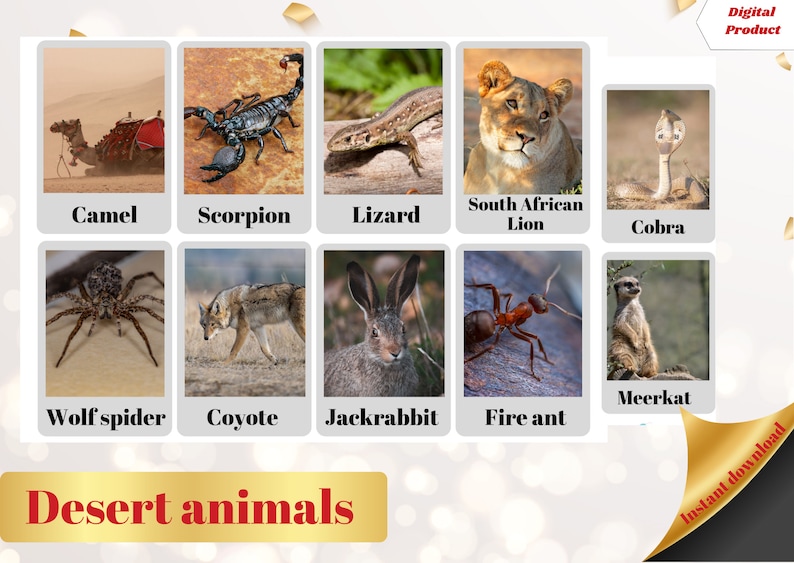 DESERT ANIMALS (real Pictures) - 32 Printable Flashcards - Desert ...