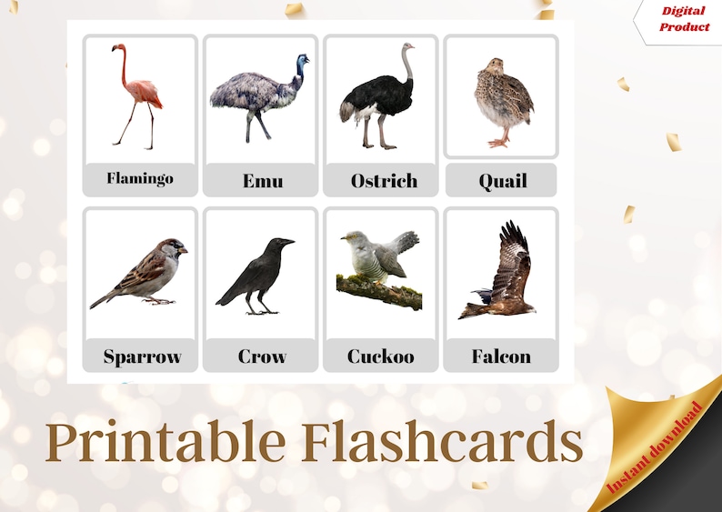 BIRDS - 32 Printable Flashcards - Birds Nomenclature - Montessori ...