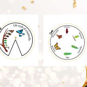 LIFE CYCLE of a BUTTERFLY Wheel - Busy Book Activity Montessori ...