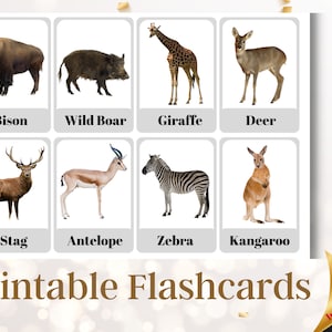 WILD ANIMALS - 40 Printable Flashcards -wild Animals Nomenclature ...