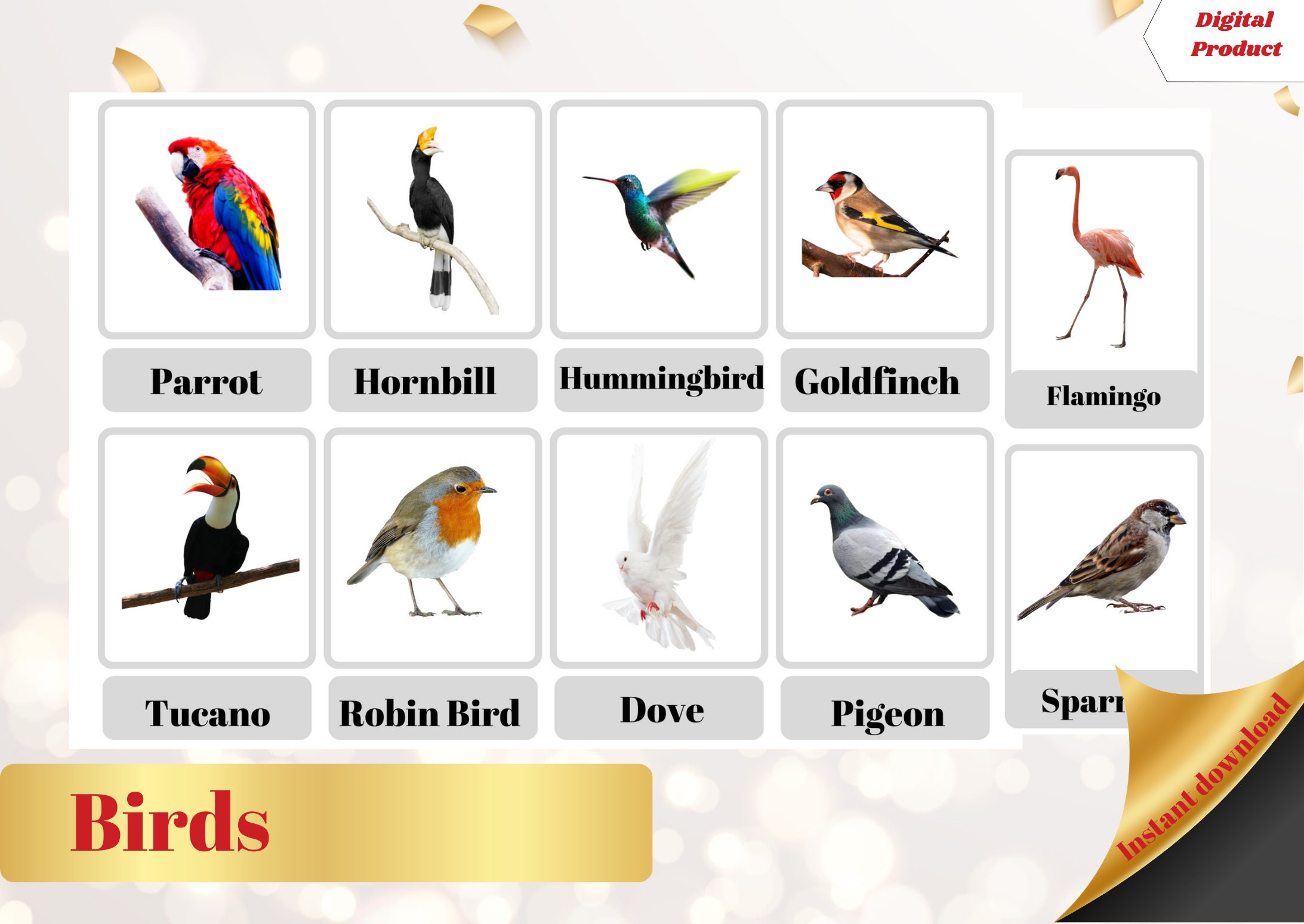 BIRDS - 32 Printable Flashcards - Birds Nomenclature - Montessori ...