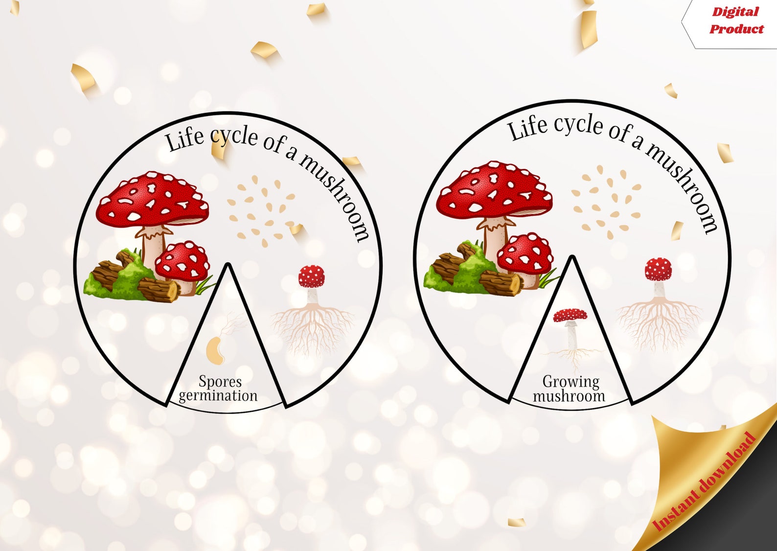 LIFE CYCLE of a MUSHROOM Wheel - Busy Book Activity Montessori Learning ...