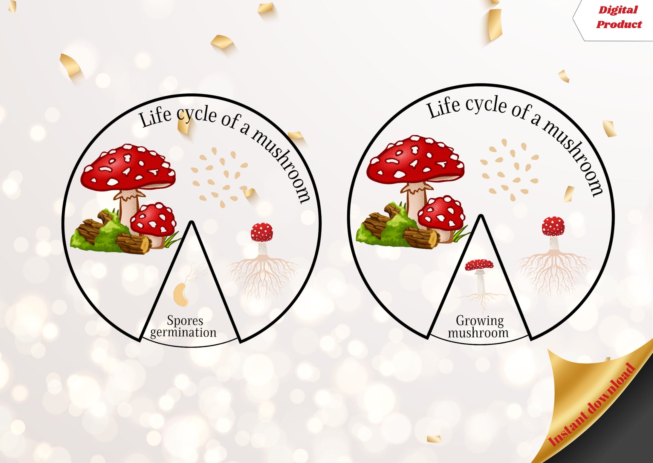 LIFE CYCLE of a MUSHROOM Wheel - Busy Book Activity Montessori Learning ...