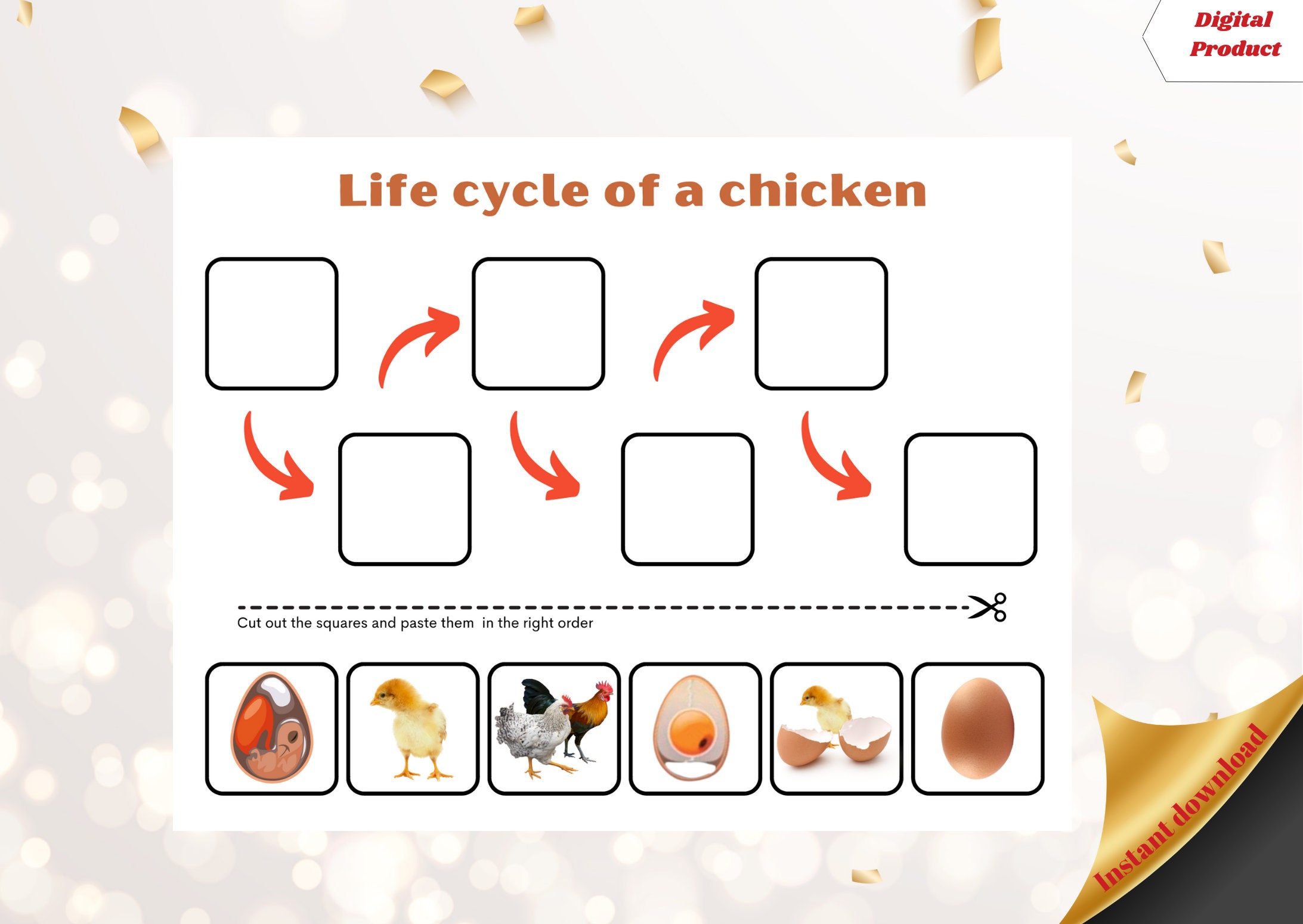 CHICKEN LIFE CYCLE Poster & Activity Game Busy Book Activity - Etsy