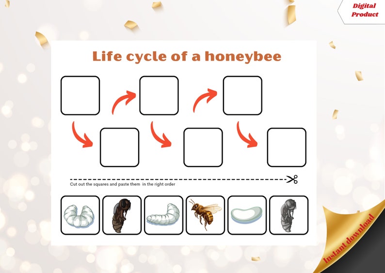 HONEYBEE LIFE CYCLE Poster & Activity Game Busy Book Activity ...