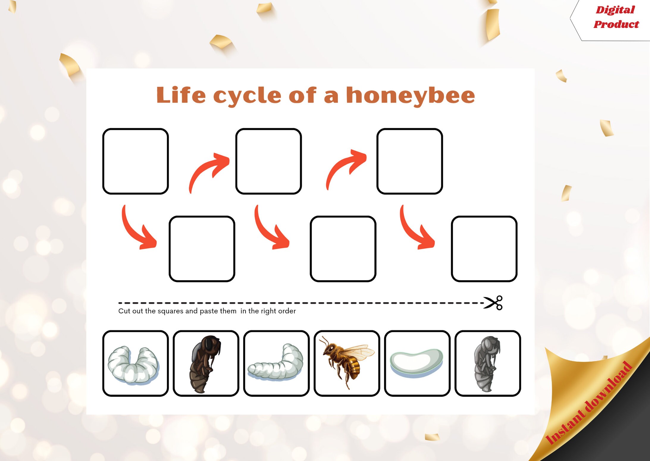 HONEYBEE LIFE CYCLE Poster & Activity Game - Busy Book Activity ...