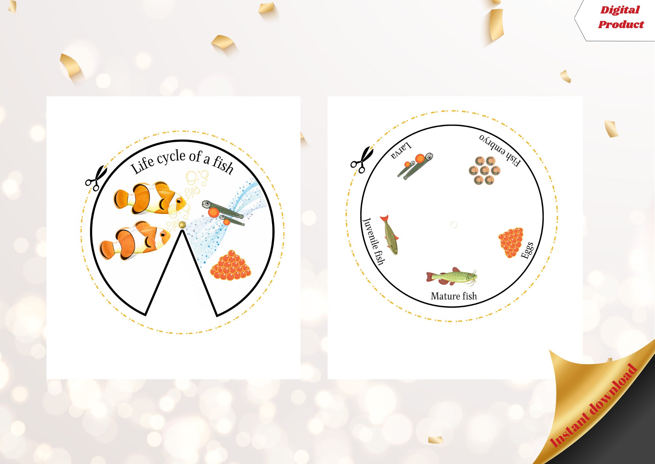 LIFE CYCLE of a FISH Wheel - Busy Book Activity Montessori Learning ...