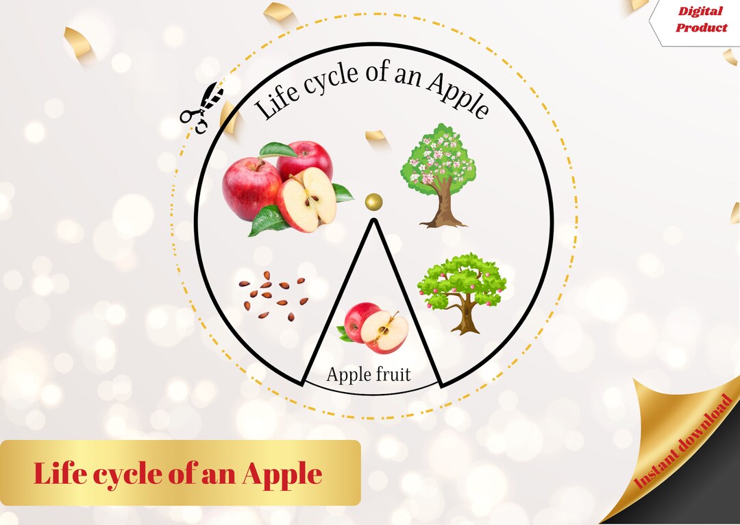 LIFE CYCLE of an APPLE Wheel - Busy Book Activity Montessori Learning ...