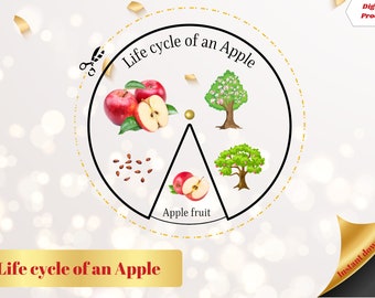 LIFE CYCLE of a LADYBUG Wheel - Busy Book Activity Montessori Learning ...