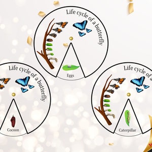 LIFE CYCLE of a BUTTERFLY Wheel - Busy Book Activity Montessori ...
