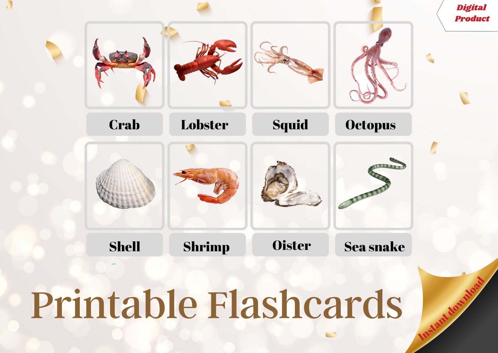 SEALIFE - 32 Printable Flashcards - Ocean Animals Nomenclature ...
