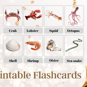 SEALIFE - 32 Printable Flashcards - Ocean Animals Nomenclature ...