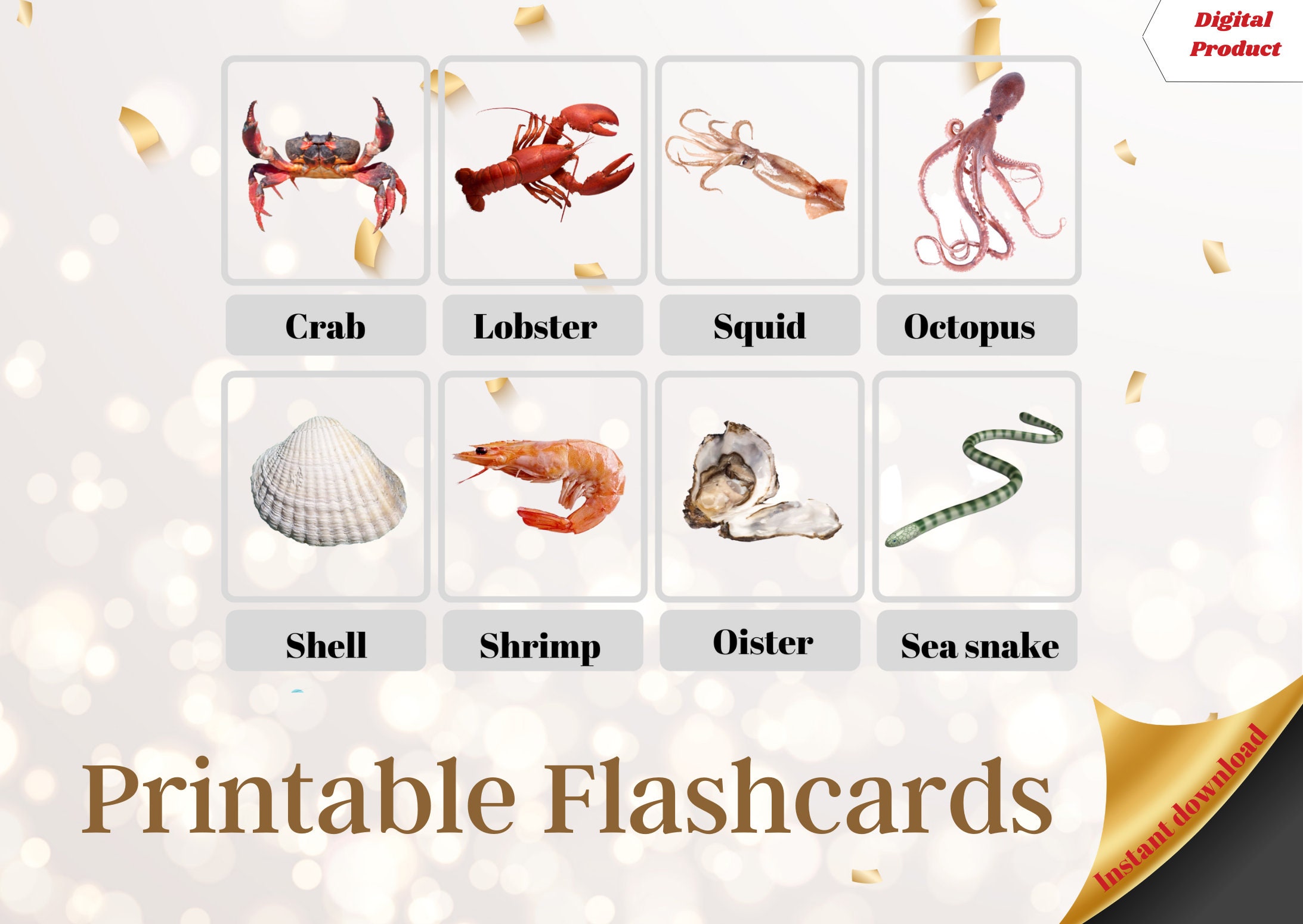 SEALIFE - 32 Printable Flashcards - Ocean Animals Nomenclature ...
