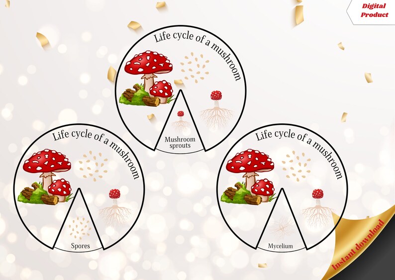 LIFE CYCLE of a MUSHROOM Wheel - Busy Book Activity Montessori Learning ...