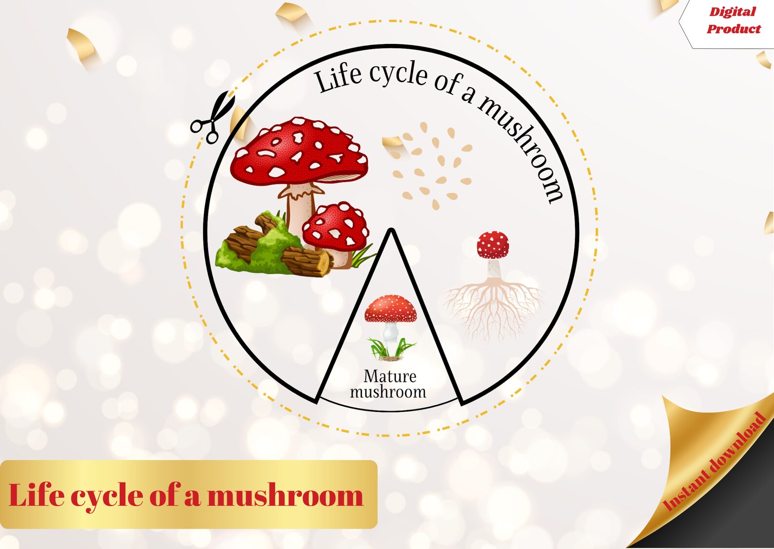 LIFE CYCLE of a MUSHROOM Wheel - Busy Book Activity Montessori Learning ...