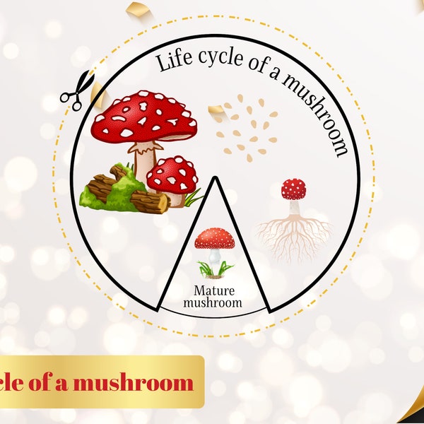 Montessori Learning - Etsy