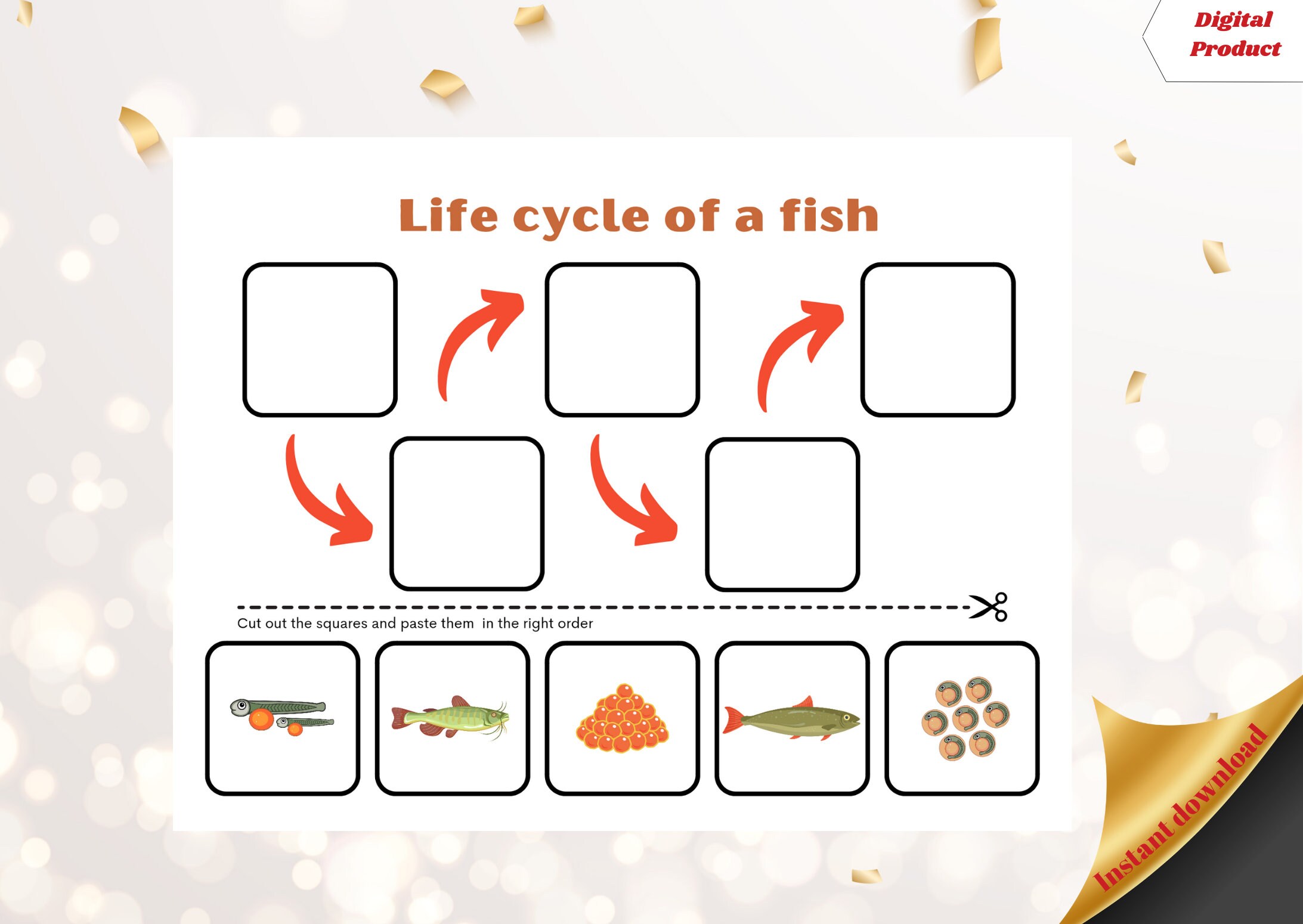 FISH LIFE CYCLE Poster & Activity Game - Busy Book Activity Montessori ...