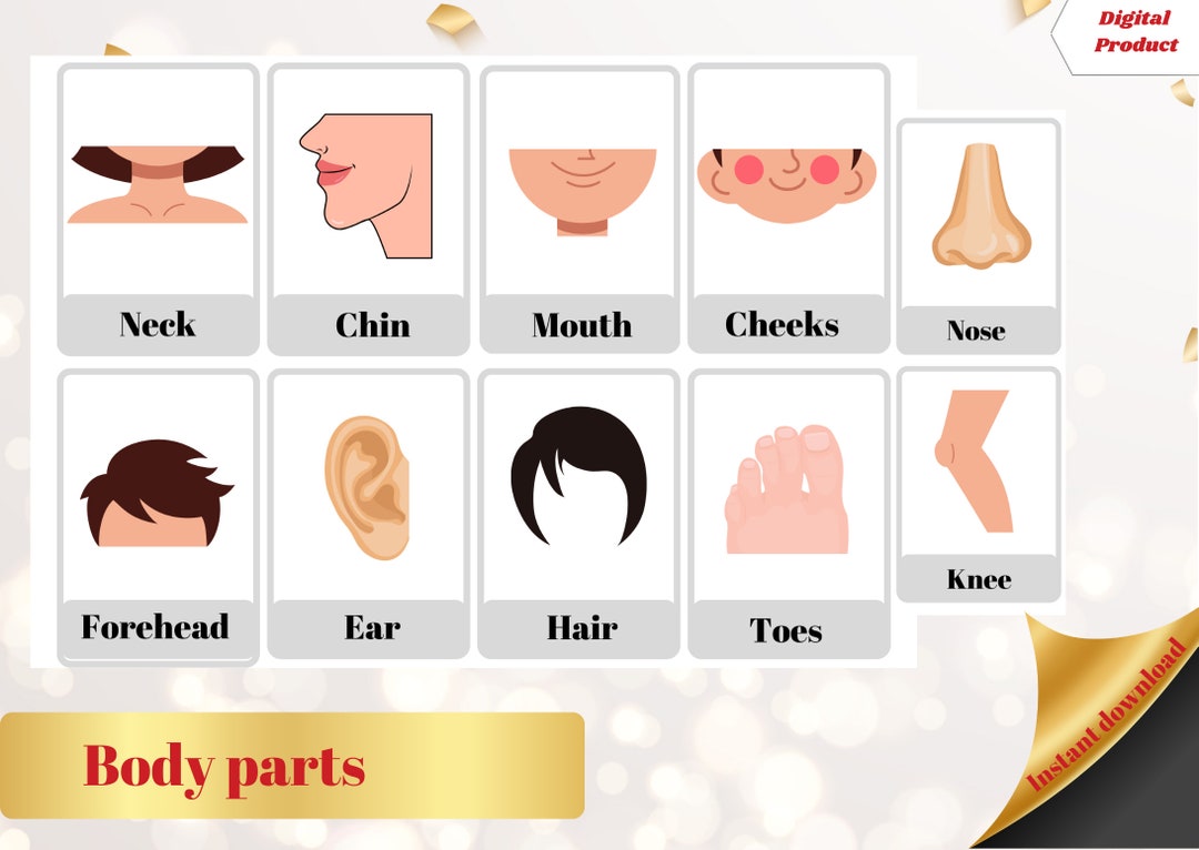 BODY PARTS - 32 Printable Flashcards Body Parts Nomenclature Montessori ...