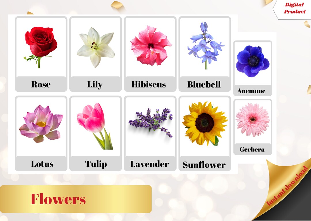 FLOWERS FLASHCARDS - 48 Printable Flashcards Flowers Botany ...