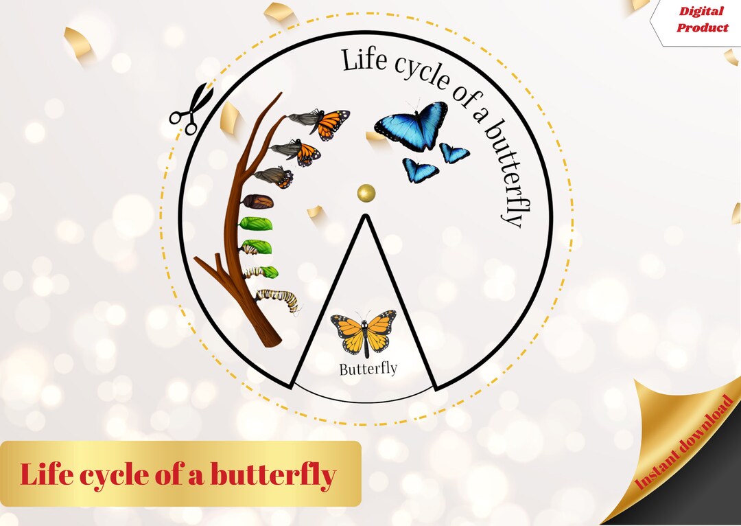 LIFE CYCLE of a BUTTERFLY Wheel - Busy Book Activity Montessori ...