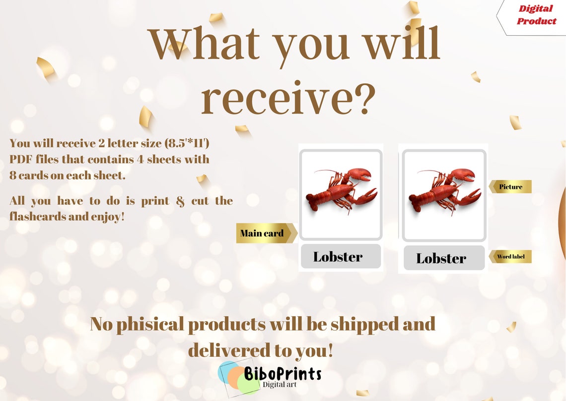 SEALIFE 32 Printable Flashcards Ocean Animals Nomenclature Montessori ...