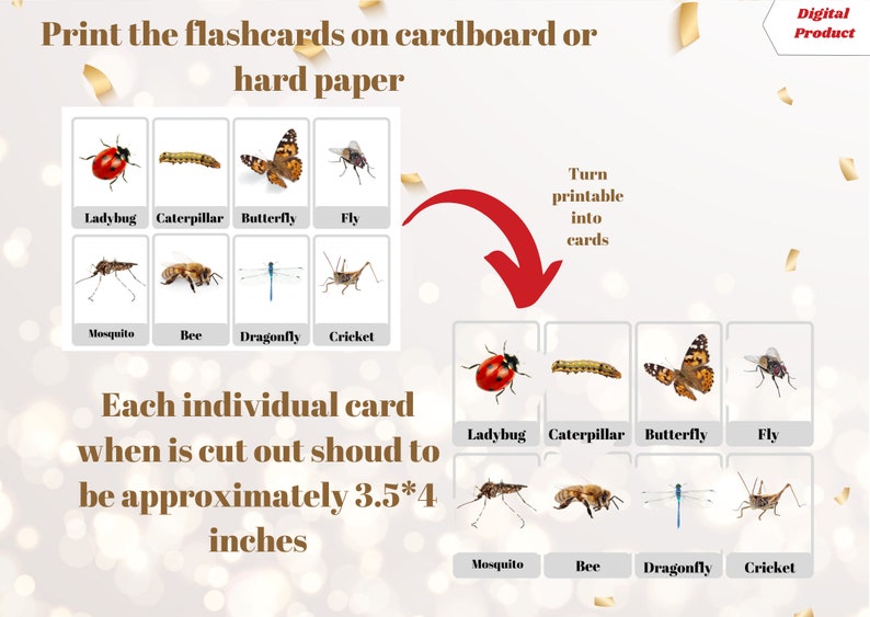 BUGS & INSECTS - 24 Printable Flashcards - Bugs and Insects ...