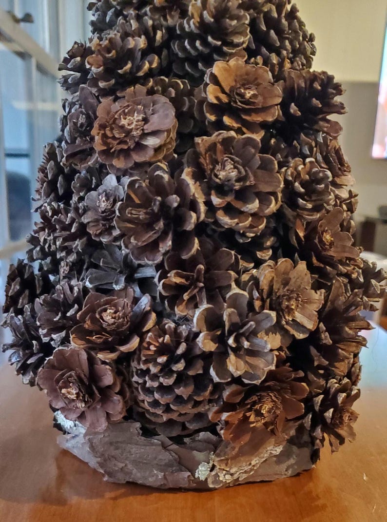 Set of Two Handmade Pine Cone Trees - Etsy