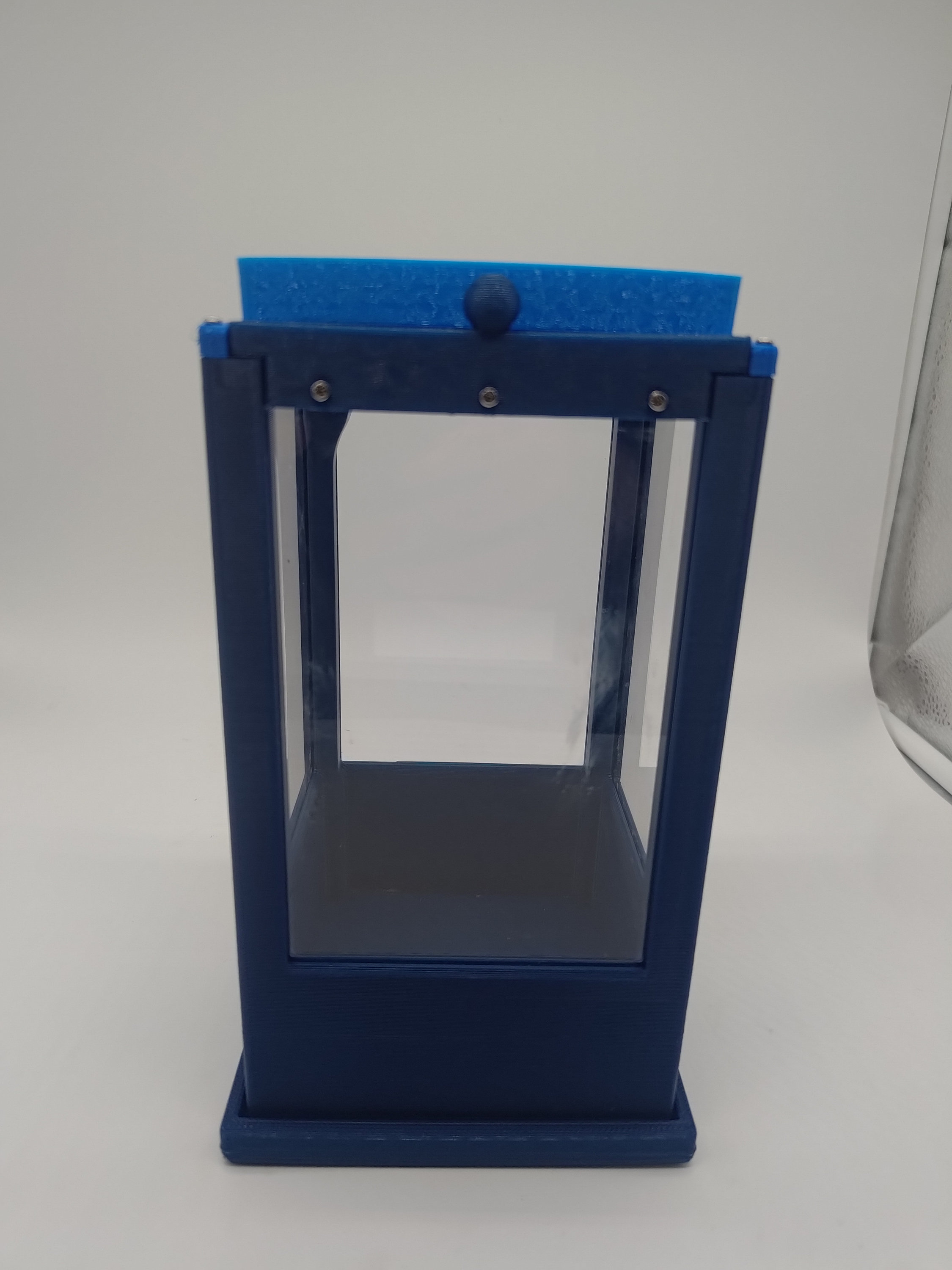 Jumping Spider Cage - Etsy