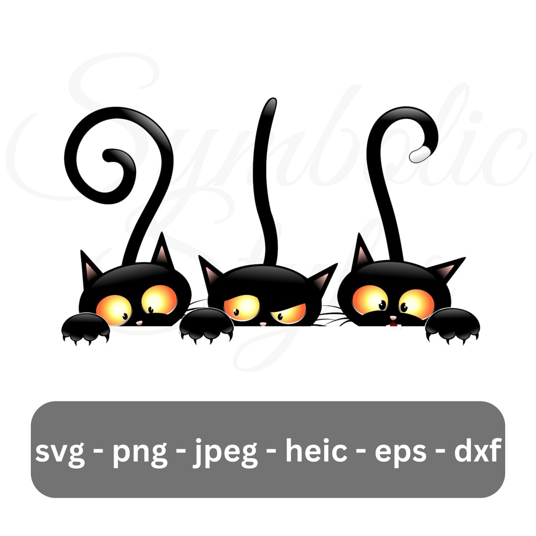 Three Black Cats Black Cat Halloween Witch Cat Mammal - Etsy