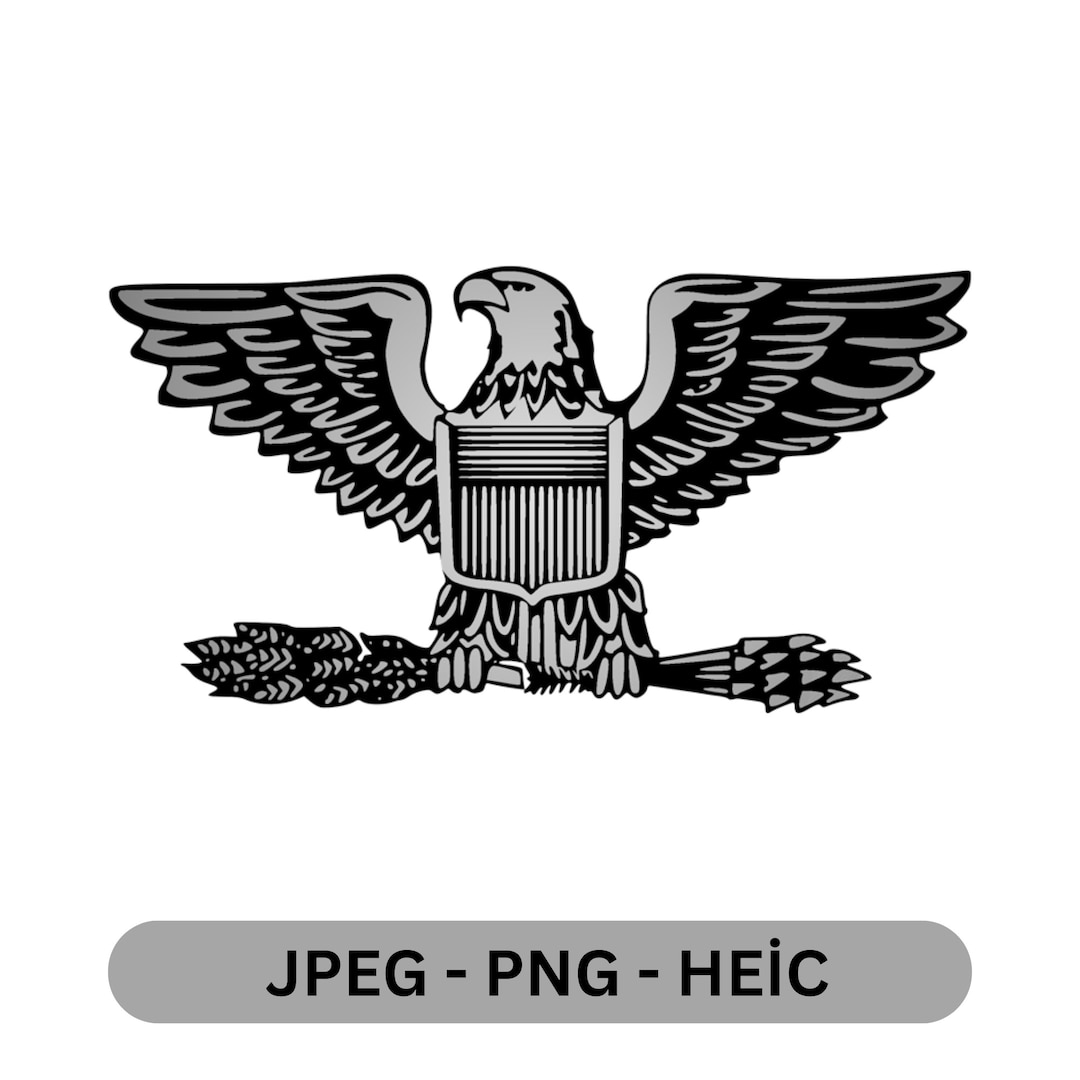 Air Force Enlisted Rank Insignia Colonel Military Rank, Colonel, Emblem ...