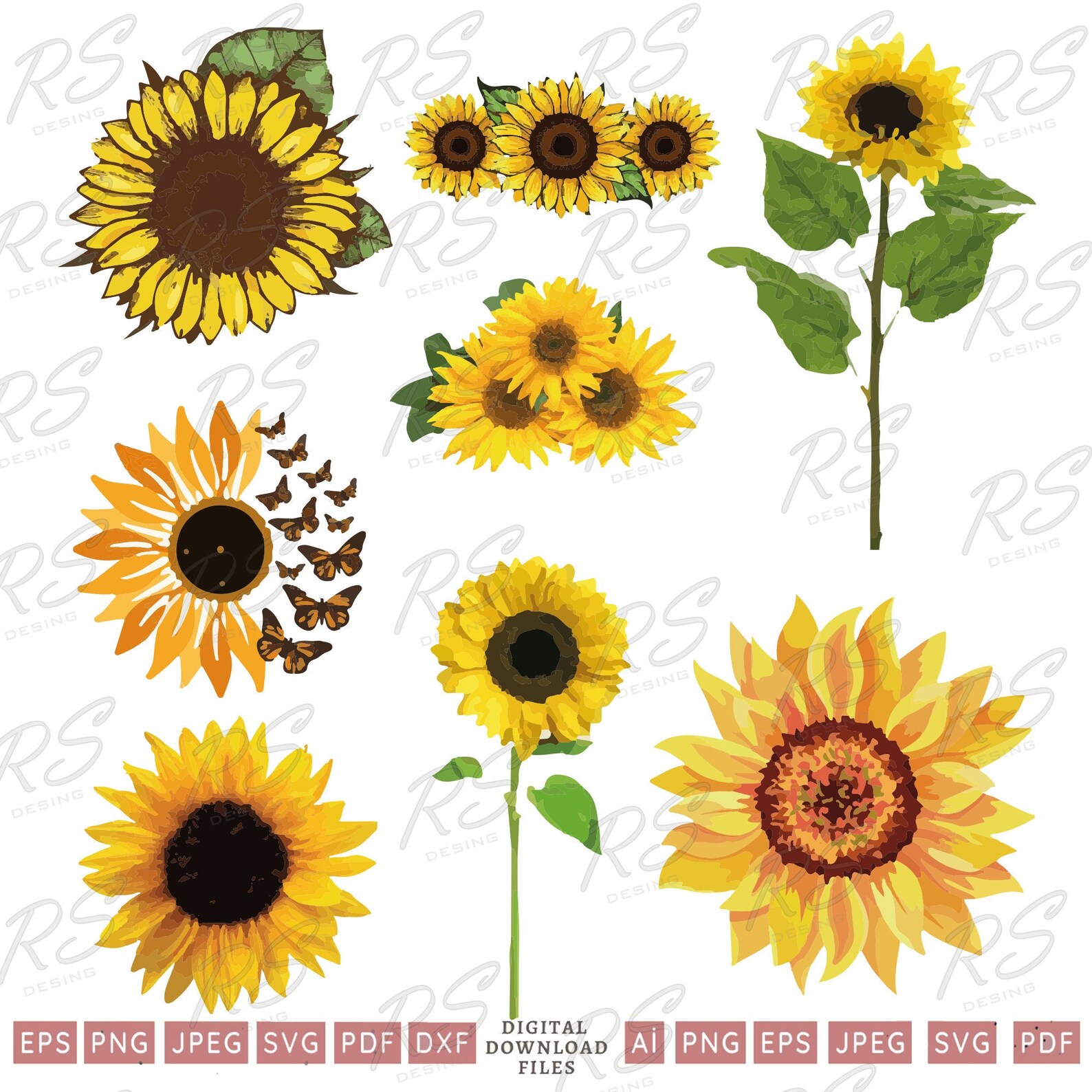 Sunflower Svg Png Bundle Sunflower Kitchen Decor Sunflower Etsy