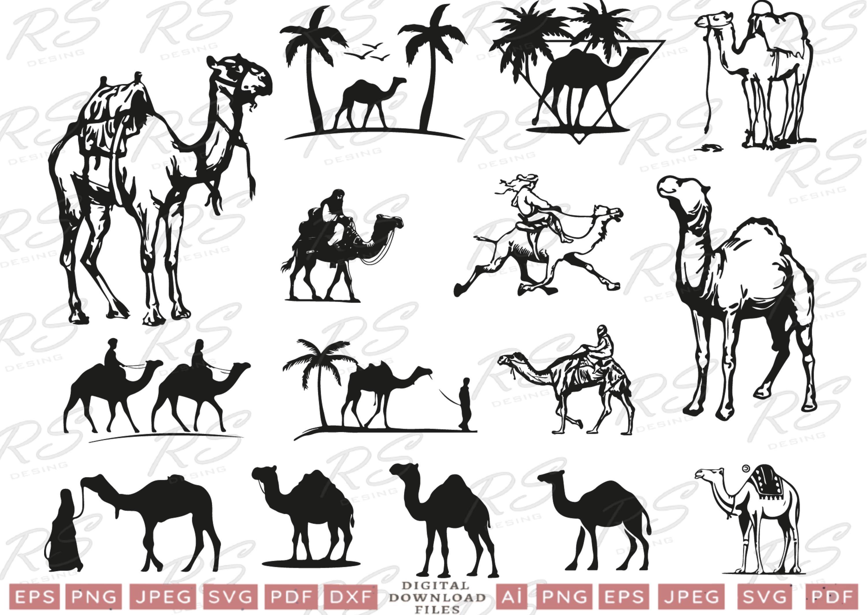 Desert Camel Svg Files, Camel Cut Files, Camel Wrestling Digital ...