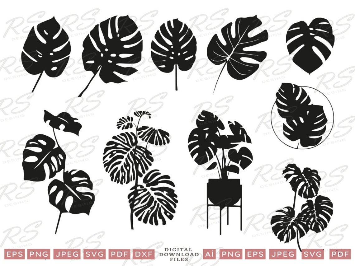 Monstera Leaf Decor Svg Bundle, Monstera Digital Download Files ...