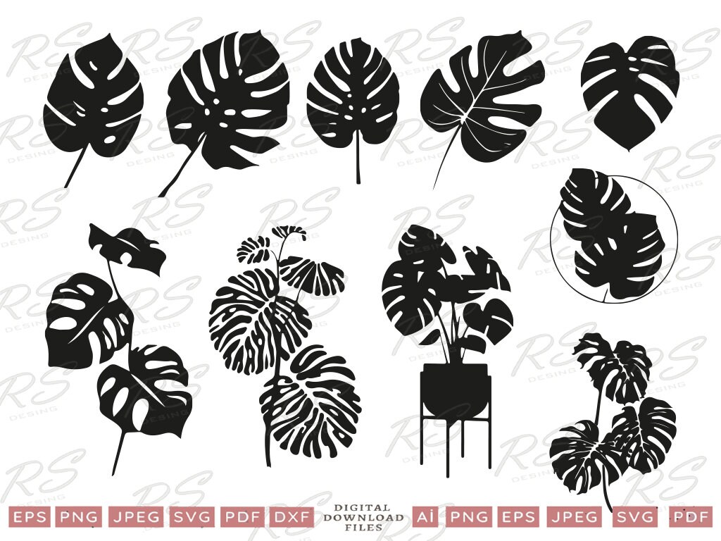 Monstera Leaf Decor Svg Bundle, Monstera Digital Download Files ...