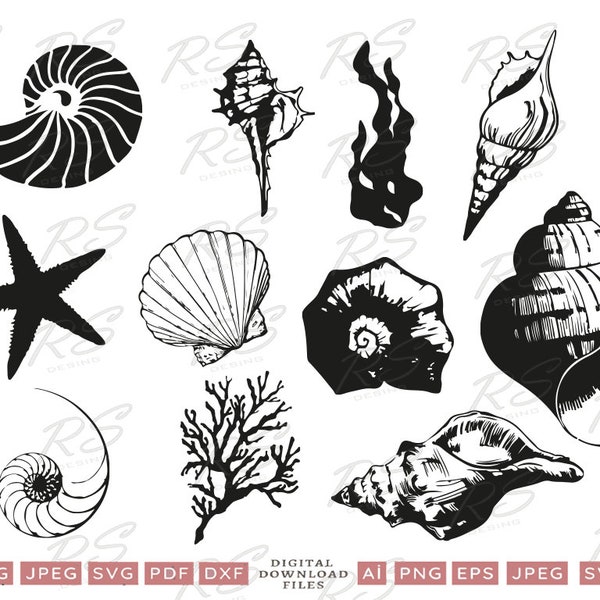 Sea Shell Svg - Etsy