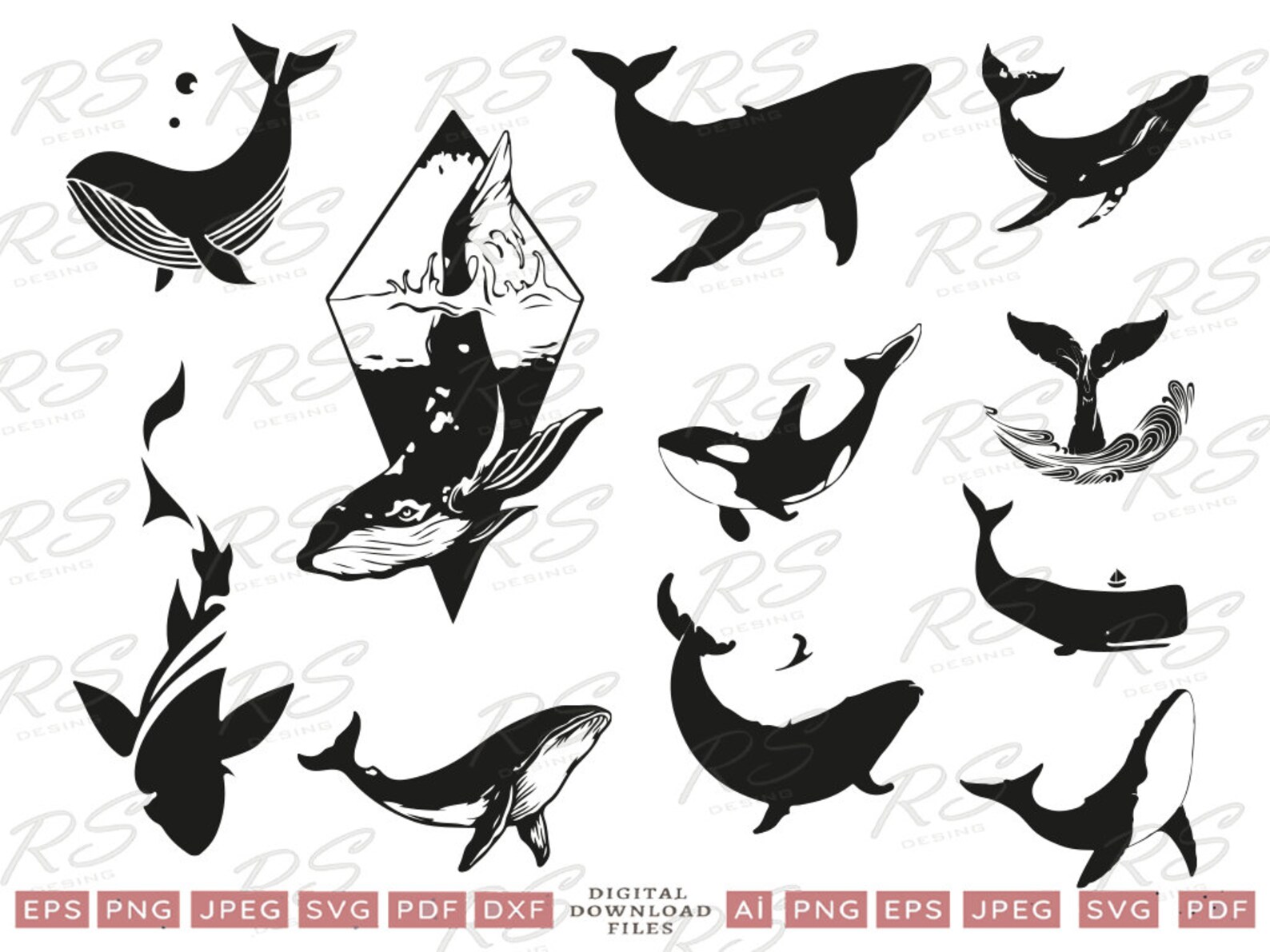 Whale Svg Dxf Bundle, Whale Clipart, Whale Silhouette, Whale Svg Files ...