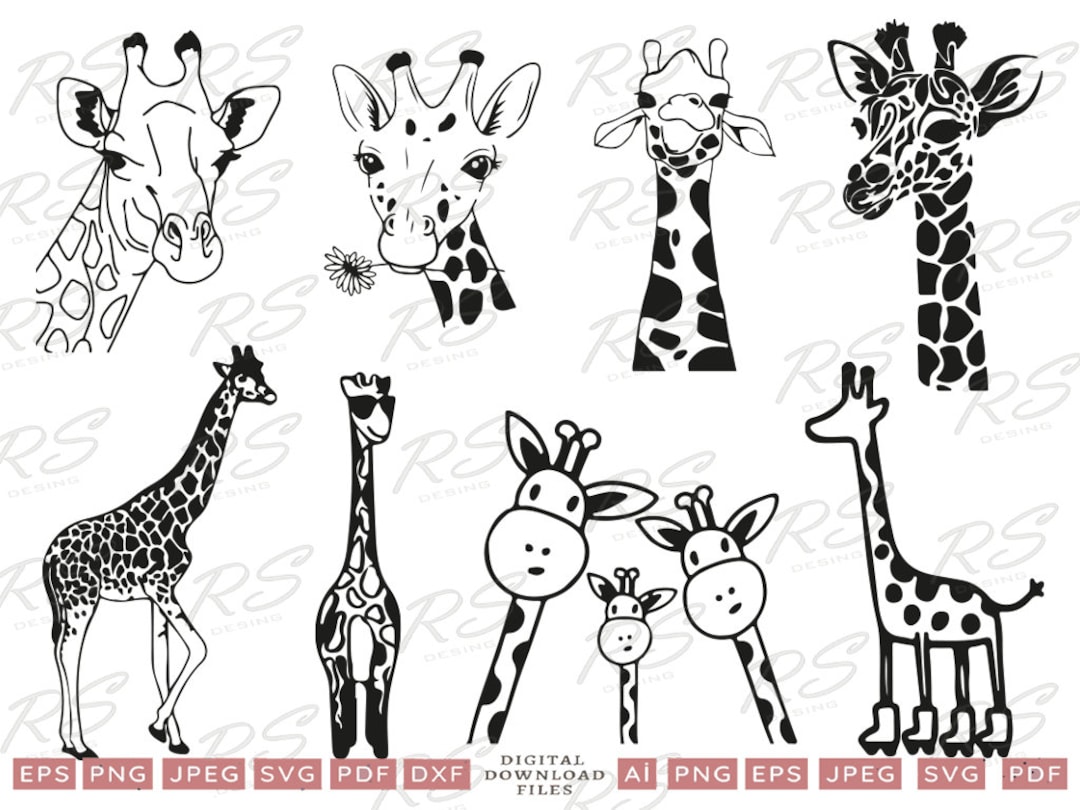 Funny Giraffe Svg Bundle, Safari Animal Svg , Giraffe Clipart, Giraffe ...