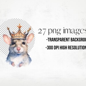 Watercolour Fairytale Mice Clipart Bundle, Fairy Tale Animals Clip Art ...