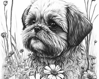 Shih Tzu Coloring Page - Etsy