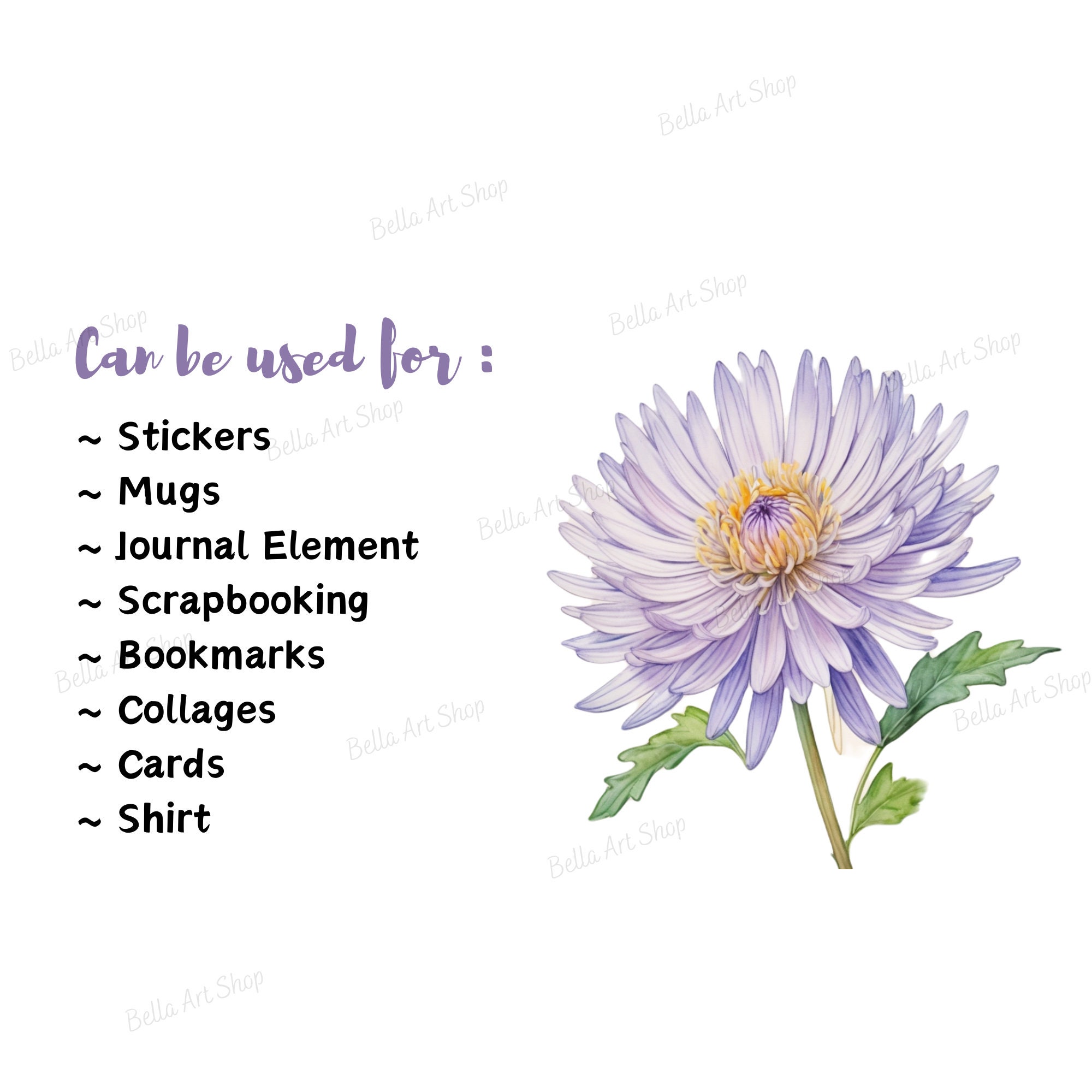 Boho Floral Wildflower Watercolour Clipart Dried Plants Autumn for ...