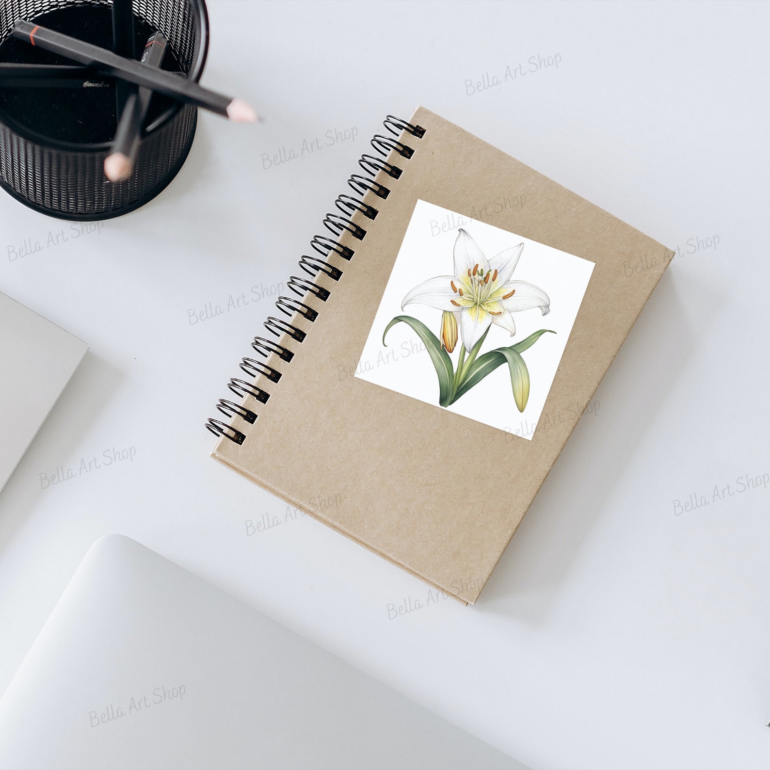 Boho Floral Wildflower Watercolour Clipart Dried Plants Autumn for ...