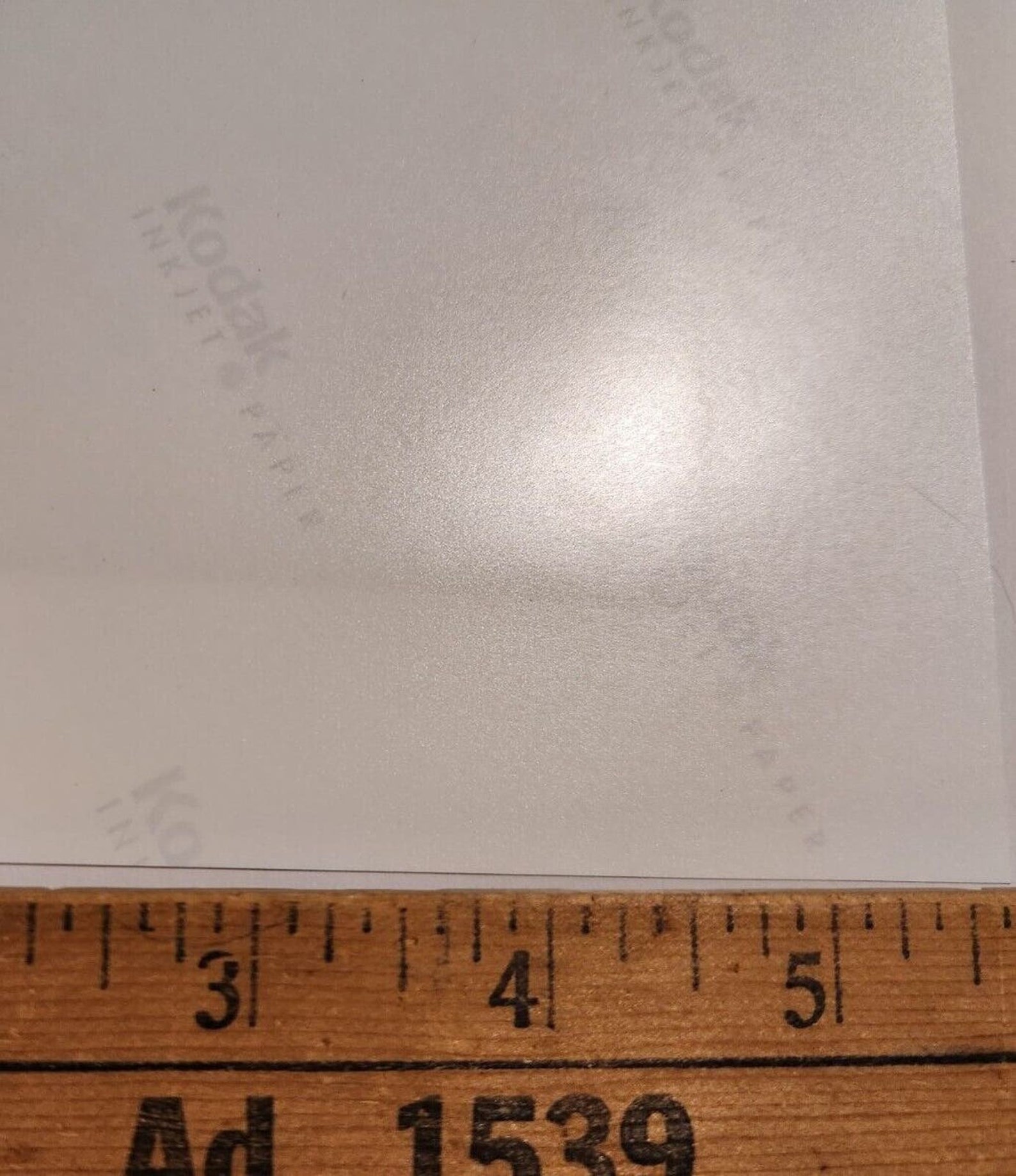 Isaiah West Taber Black&white Photo, NOT ORIGINAL, Wallace Islanders ...