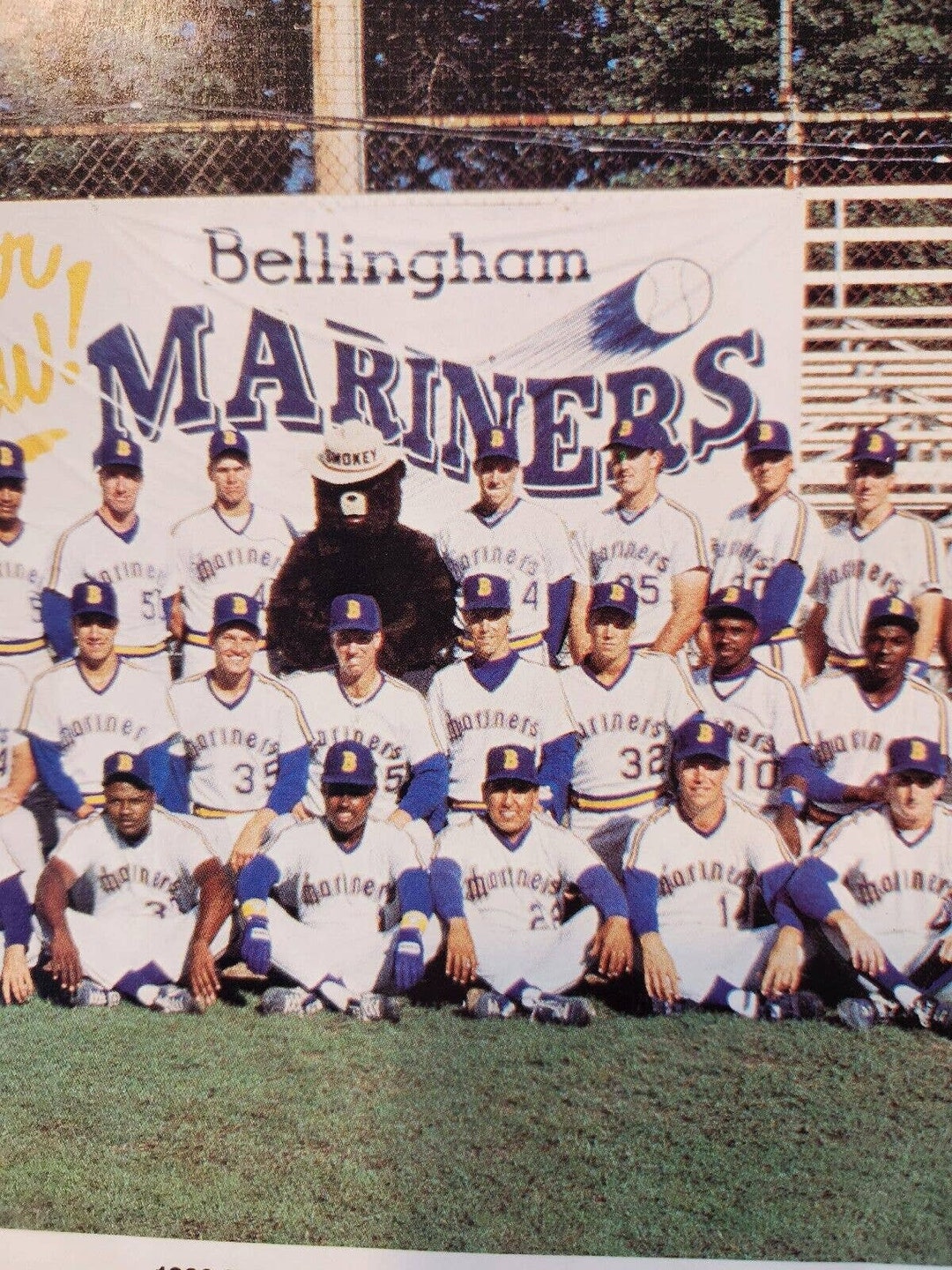 Vintage 1989 Bellingham Mariners Team Photo Includes 5 Players That ...
