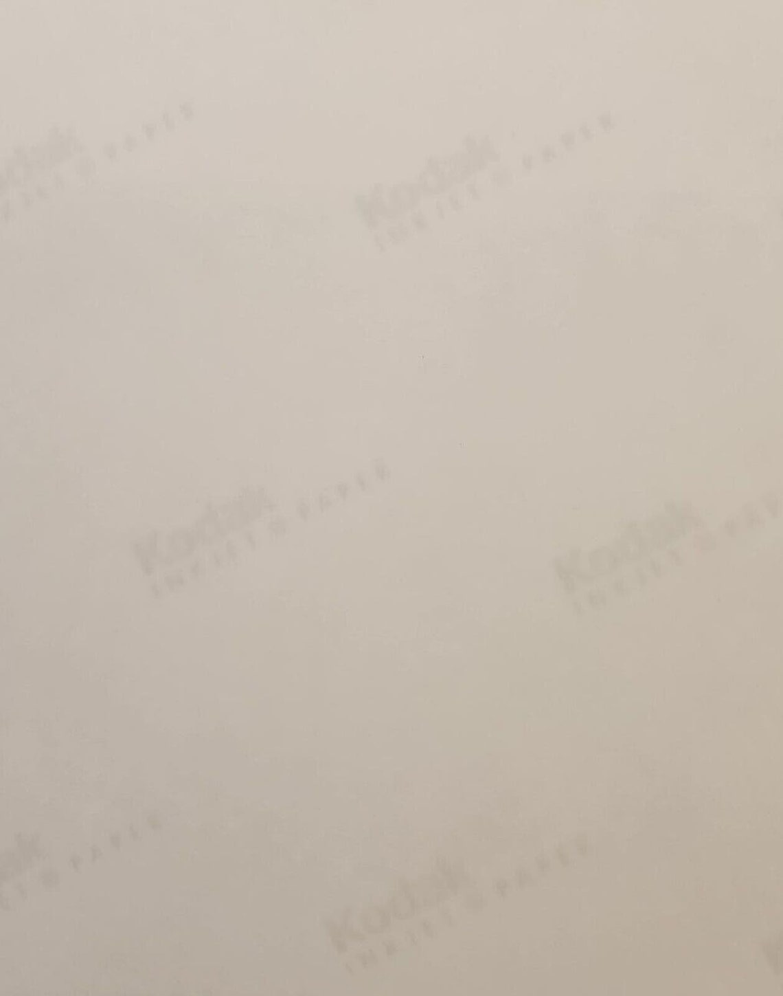 Isaiah West Taber Black&white Photo, NOT ORIGINAL, Wallace Islanders ...