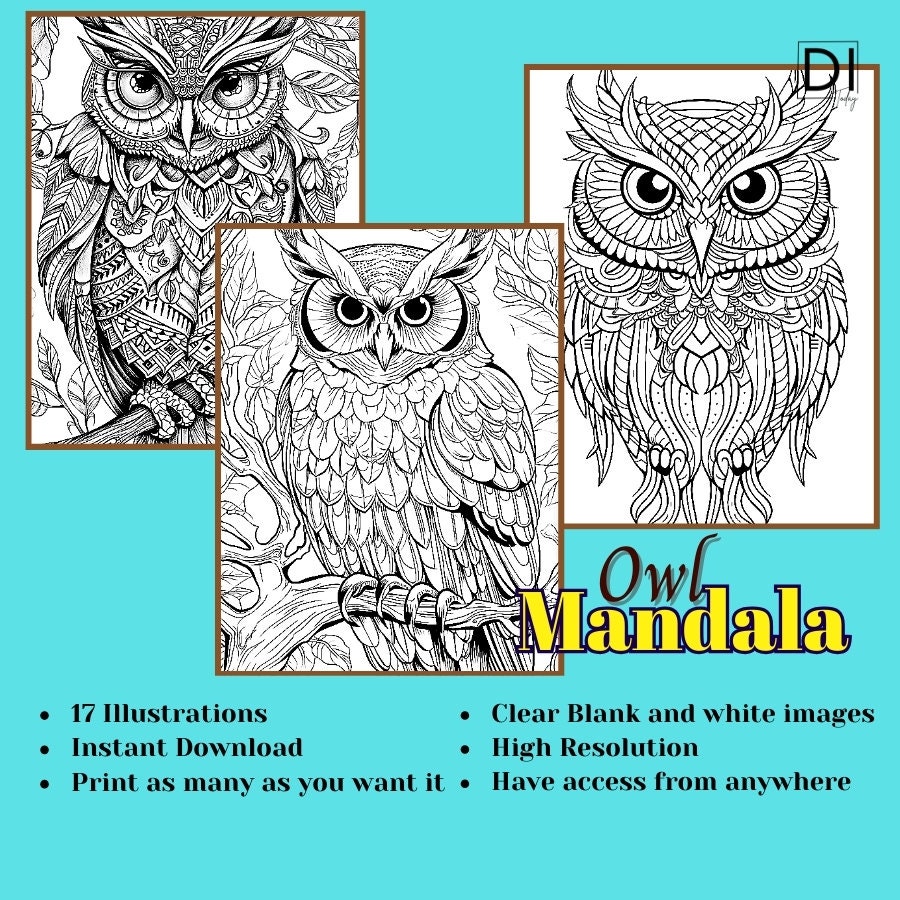 Owl Mandala Digital Coloring Book for Adults Teens , Celtic Fantasy ...